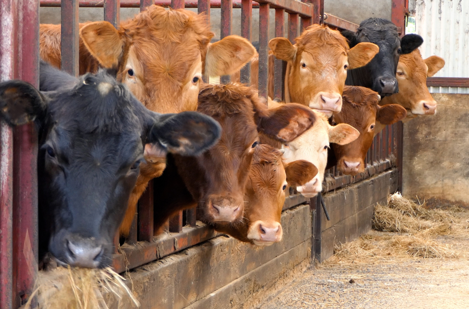 Farm & Rural Estate Management Software | Landmark Systems